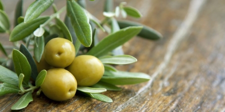 Olivol® Olive Fruit Extract - Ask The Scientists