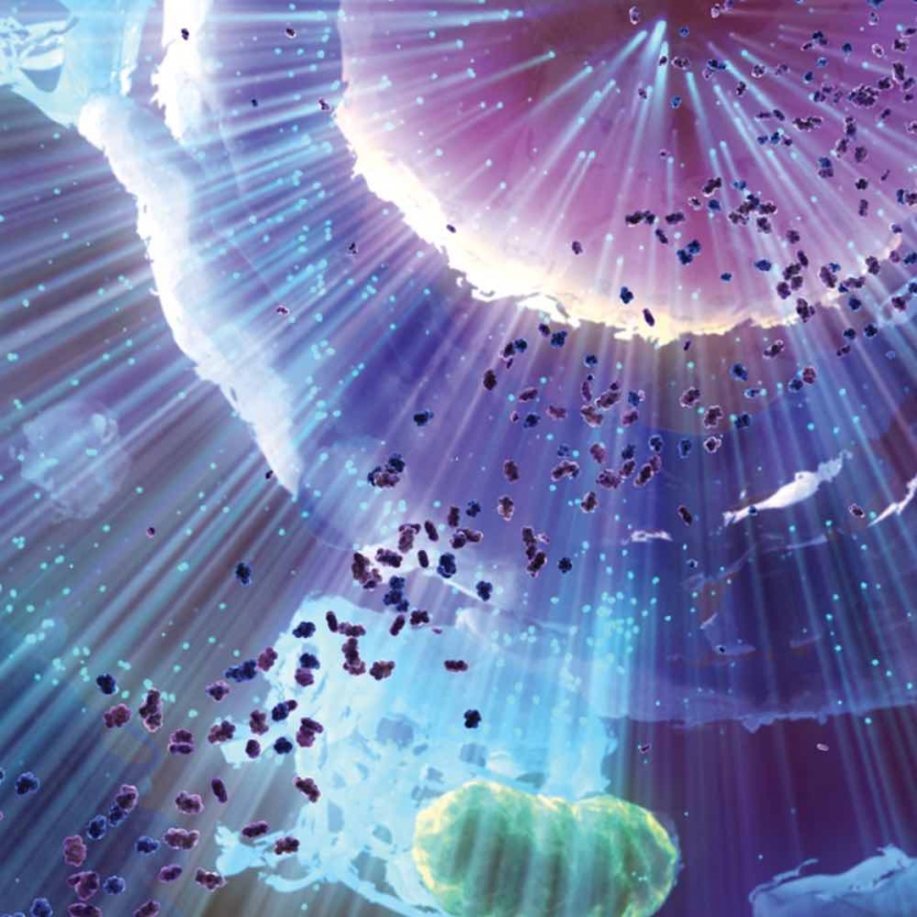 CellSentials™ - Ask The Scientists