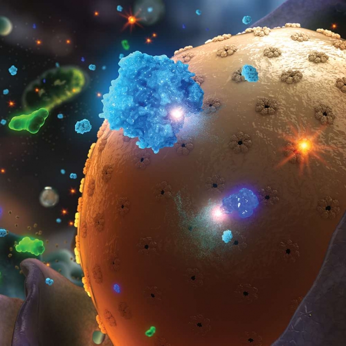 CellSentials™ - Ask The Scientists