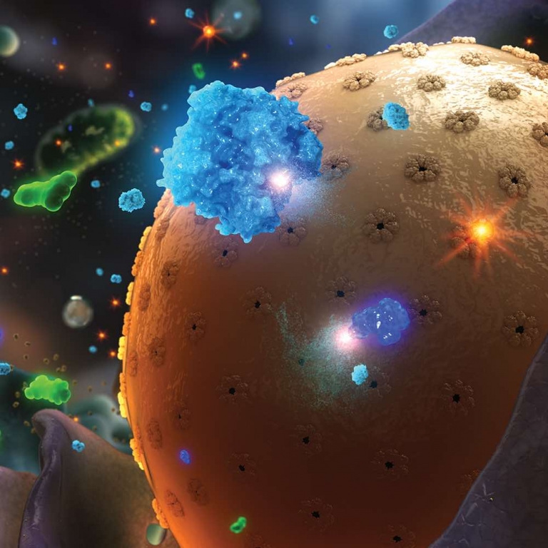 CellSentials™ - Ask The Scientists