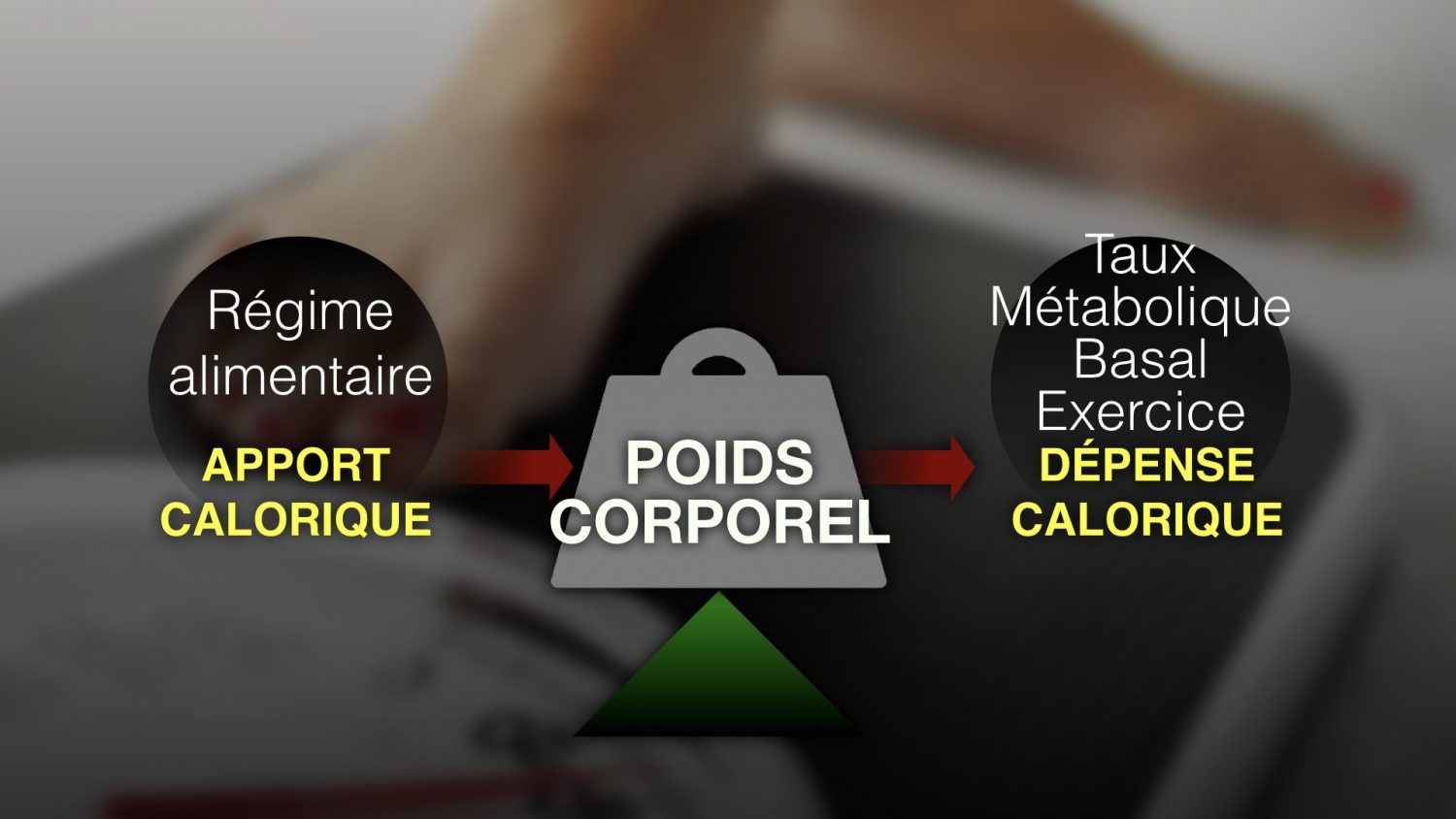 Le premier pas vers la maîtrise du poids : mieux comprendre les ...