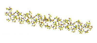 Learn About Collagen with These Amazing Facts - Ask The Scientists