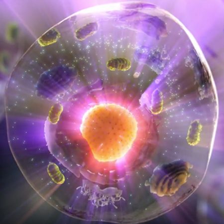 HealthPak - Ask The Scientists