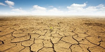 Healthy Hydration – How Your Body Uses Water - Ask The Scientists