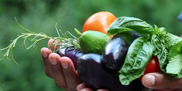 Comprendre l’ATP – les réponses à 10 questions sur l’énergie cellulaire ...