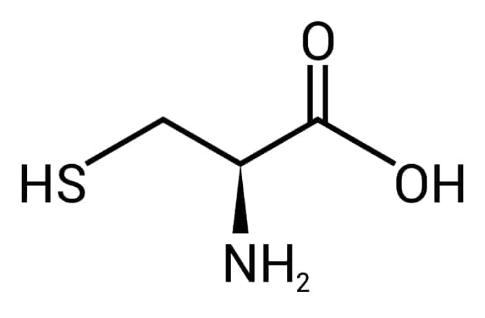 The Benefits of Cysteine: A Vital Amino Acid - Ask The Scientists